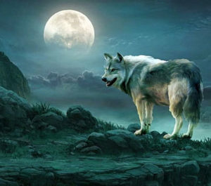 profile alone moon dp for whatsapp | CareersPlay.com